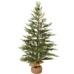 North Rim Hemlock Tree 36" (IN STORE PICKUP ONLY) – Saltbox Primitives