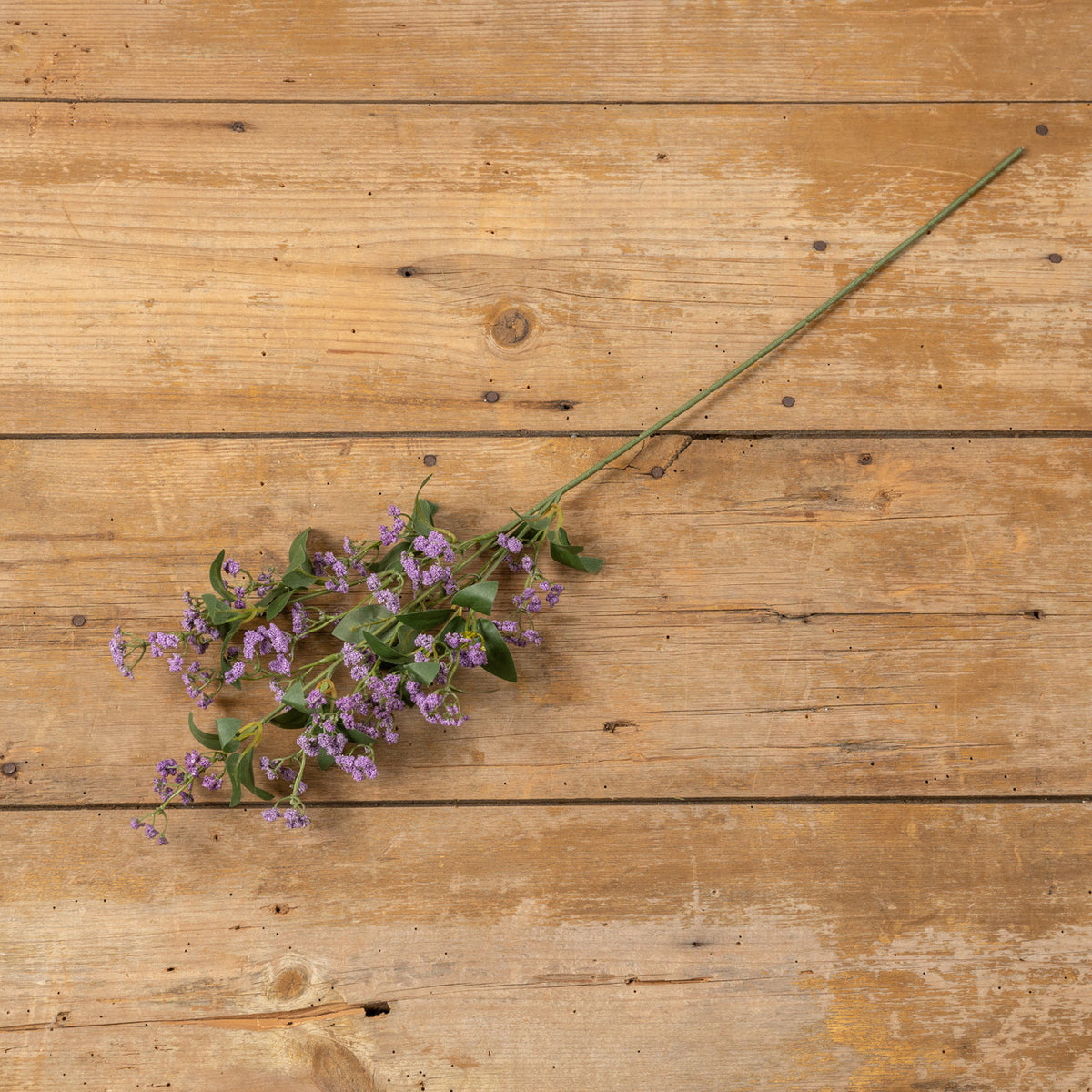 Purple Baby Breath Spray – Saltbox Primitives