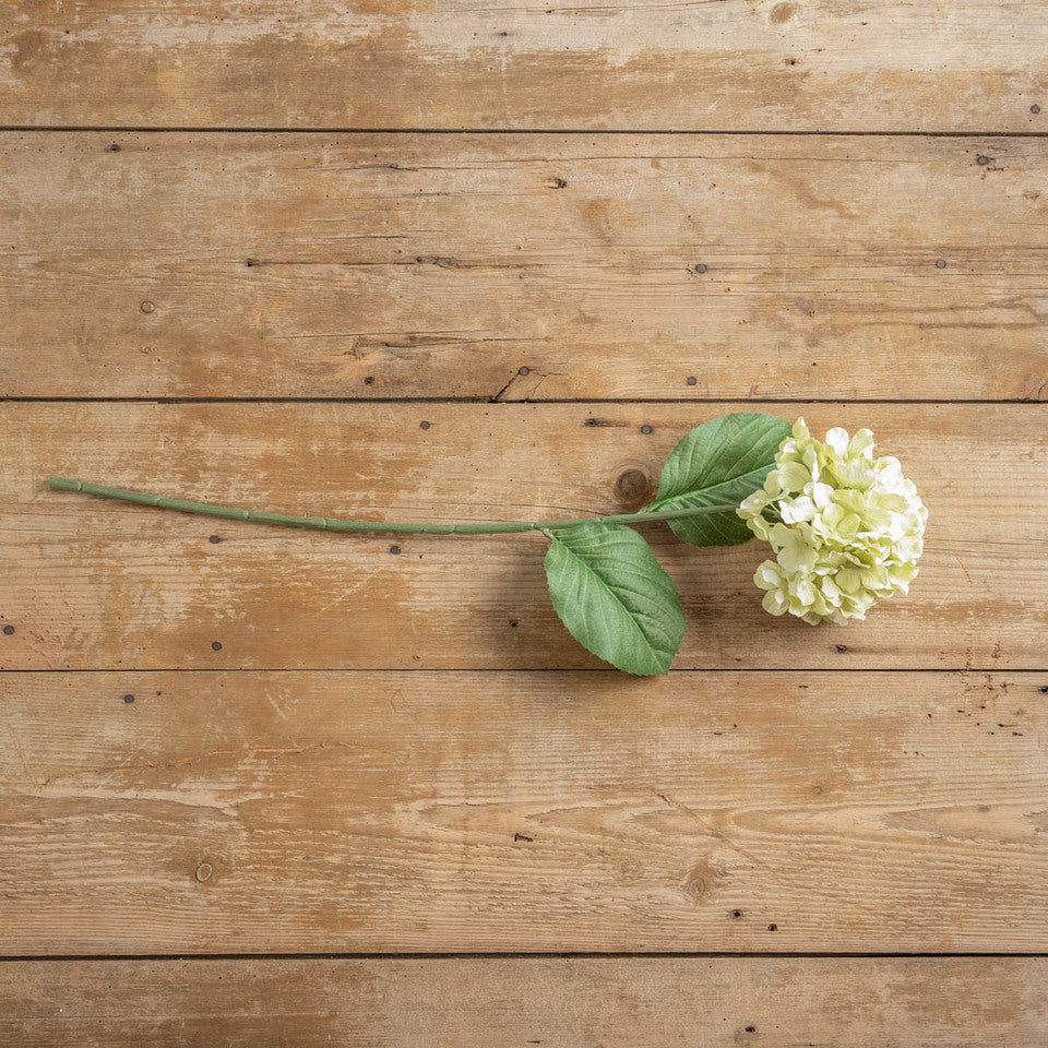 28" LIGHT GREEN HYDRANGEA STEM – Saltbox Primitives